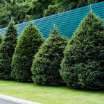 Outdoor Sound Barriers for Noisy Neighbors: 9 Effective Solutions ...