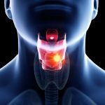 5 Reasons Why You Talk So Loud Without Noticing and Solutions – Gentle Hush